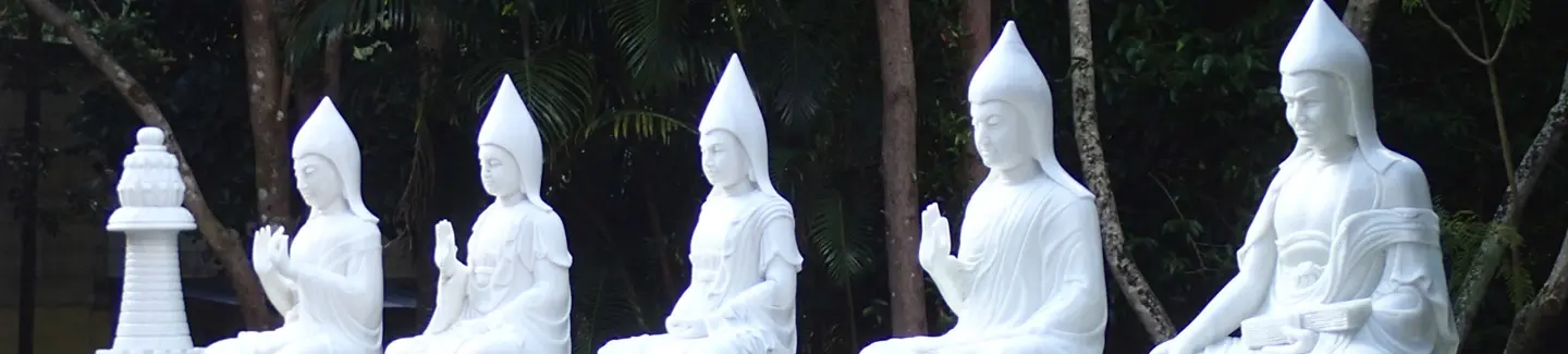 About Us - Lotus Library