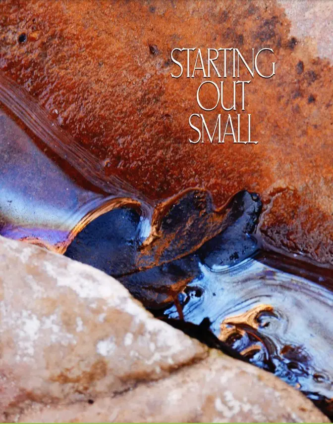 Introductory Archives - Lotus Library